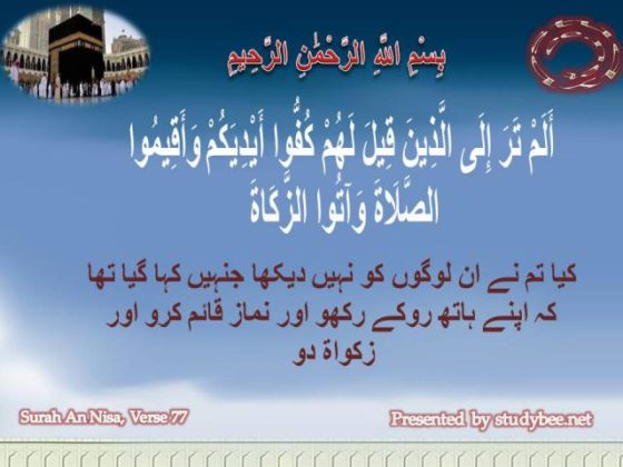 Charity Zakat Quotes - StudyBee.Net
