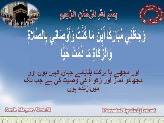 Charity Zakat Quotes - StudyBee.Net